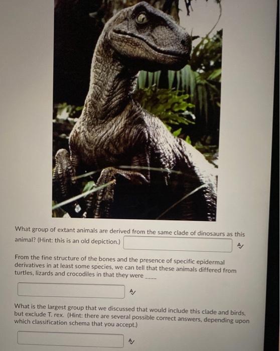 Solved What group of extant animals are derived from the | Chegg.com