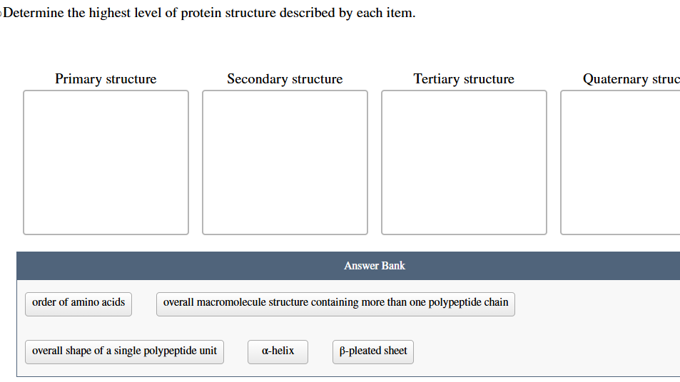 Solved Determine the highest level of protein structure | Chegg.com