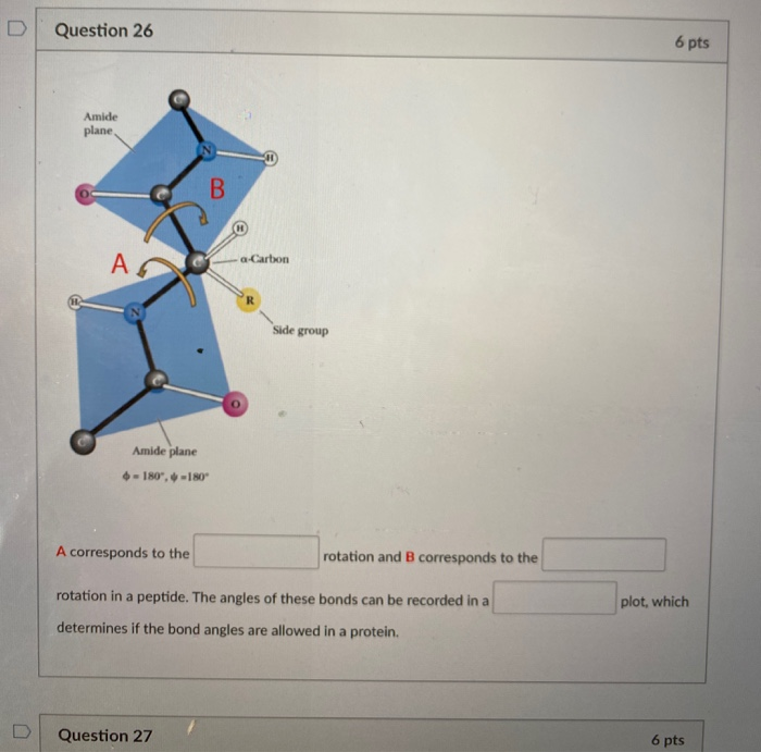 Solved Question 26 6 pts Amide plane B. А, -a-Carbon R Side | Chegg.com