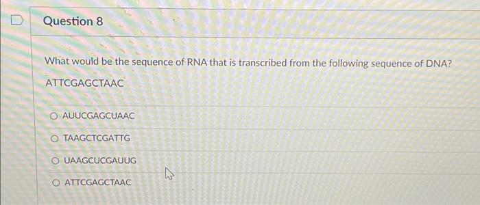 Solved Question 8 What would be the sequence of RNA that is | Chegg.com