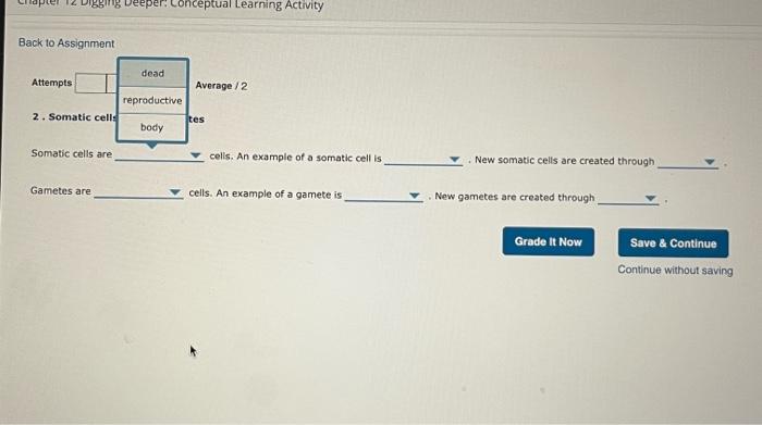 Solved Back to Assignment Attempts Average/2 2. Somatic cell | Chegg.com
