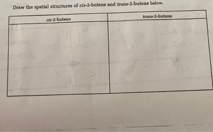 Solved Draw the spatial (three-dimen- sional) formula for | Chegg.com