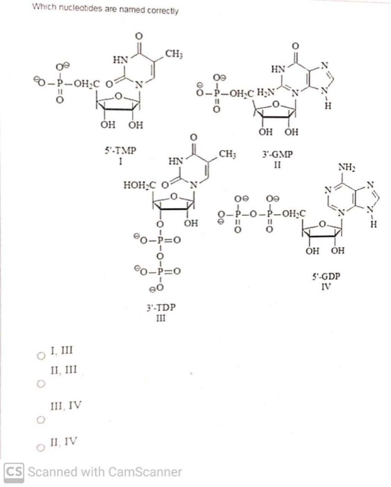 Solved Which nucleotides are named correctly o CH; HN | Chegg.com