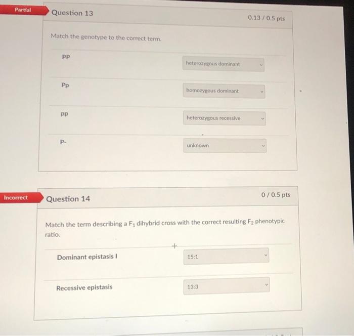 Match the genotype to the correct term. PP pp P. | Chegg.com
