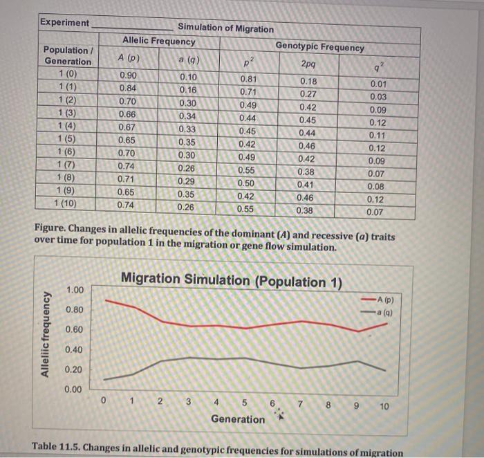 Experiment B. Simulation of Migration: Gene Flow | Chegg.com