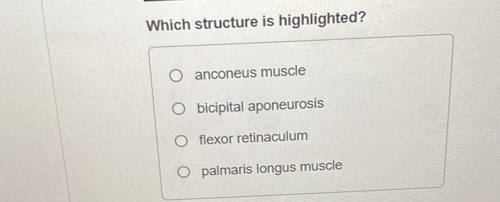 Solved Which structure is highlighted?anconeus | Chegg.com