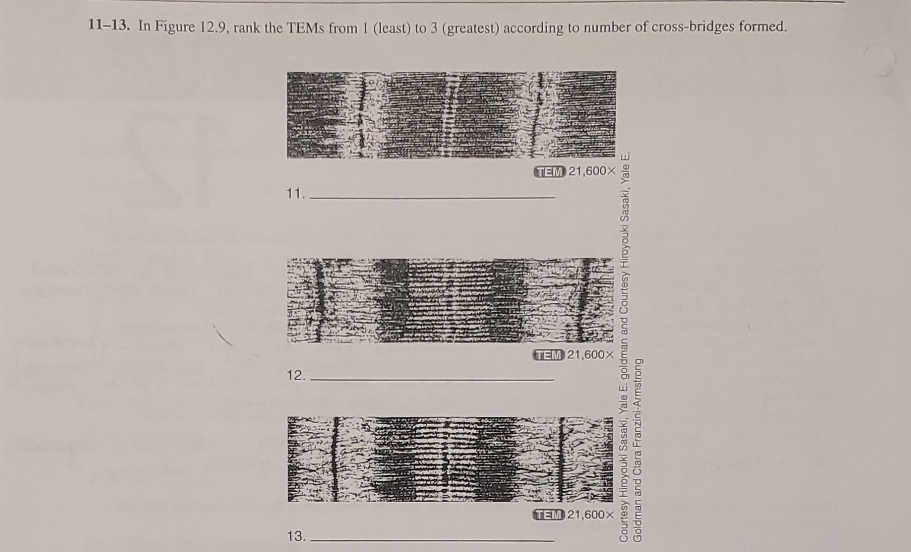 Solved 11-13. In Figure 12.9, rank the TEMs from 1 (least) | Chegg.com