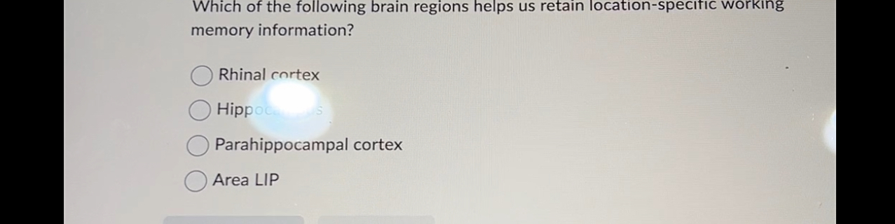 Solved Which of the following brain regions helps us retain | Chegg.com