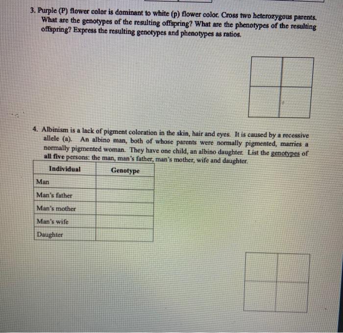 Solved Part 1: Monohybrid (One Factor) Crosses A cross | Chegg.com