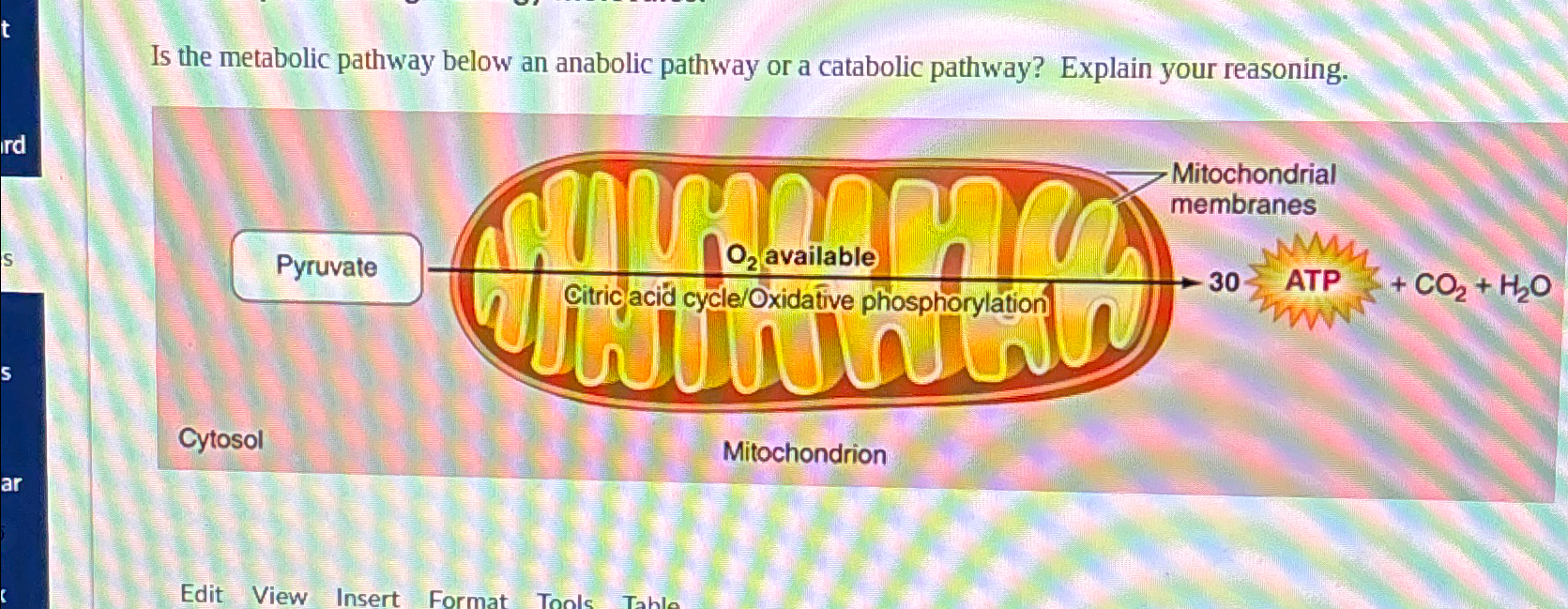 Solved Is the metabolic pathway below an anabolic pathway or | Chegg.com