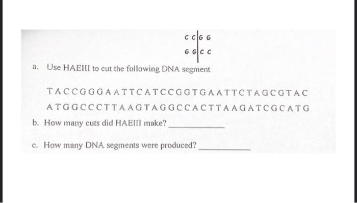 Solved a. Use HAEIII to cut the following DNA segment | Chegg.com