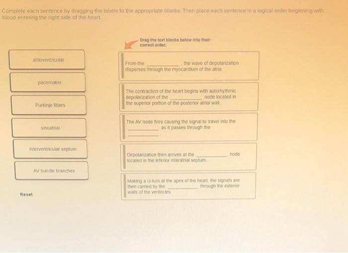 Solved Complete each sentence by dragging the labels to the | Chegg.com Solved Complete each sentence by dragging the labels to the | Chegg.com