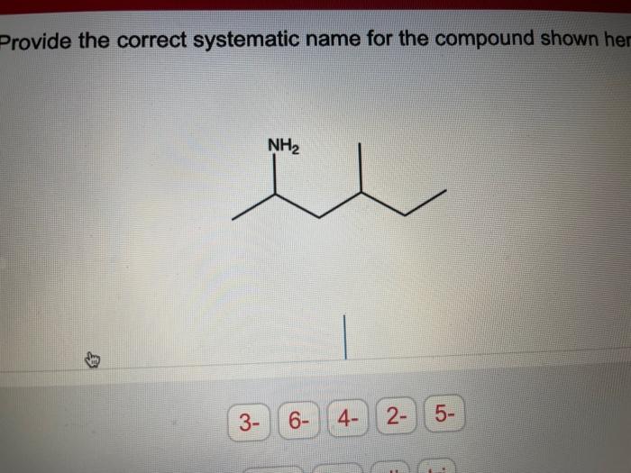 Solved Provide the correct systematic name for the compound | Chegg.com