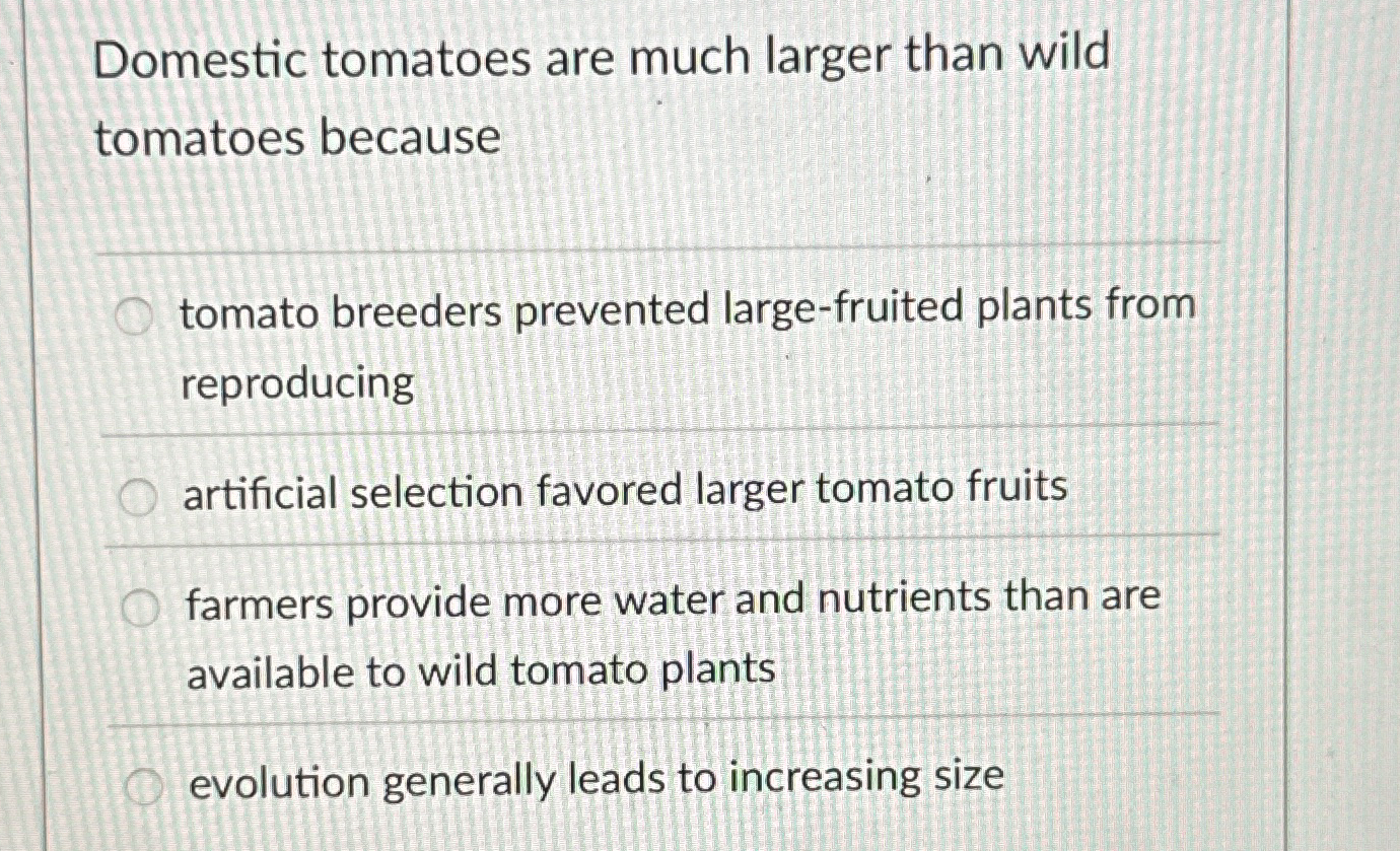 Solved Domestic tomatoes are much larger than wild tomatoes | Chegg.com