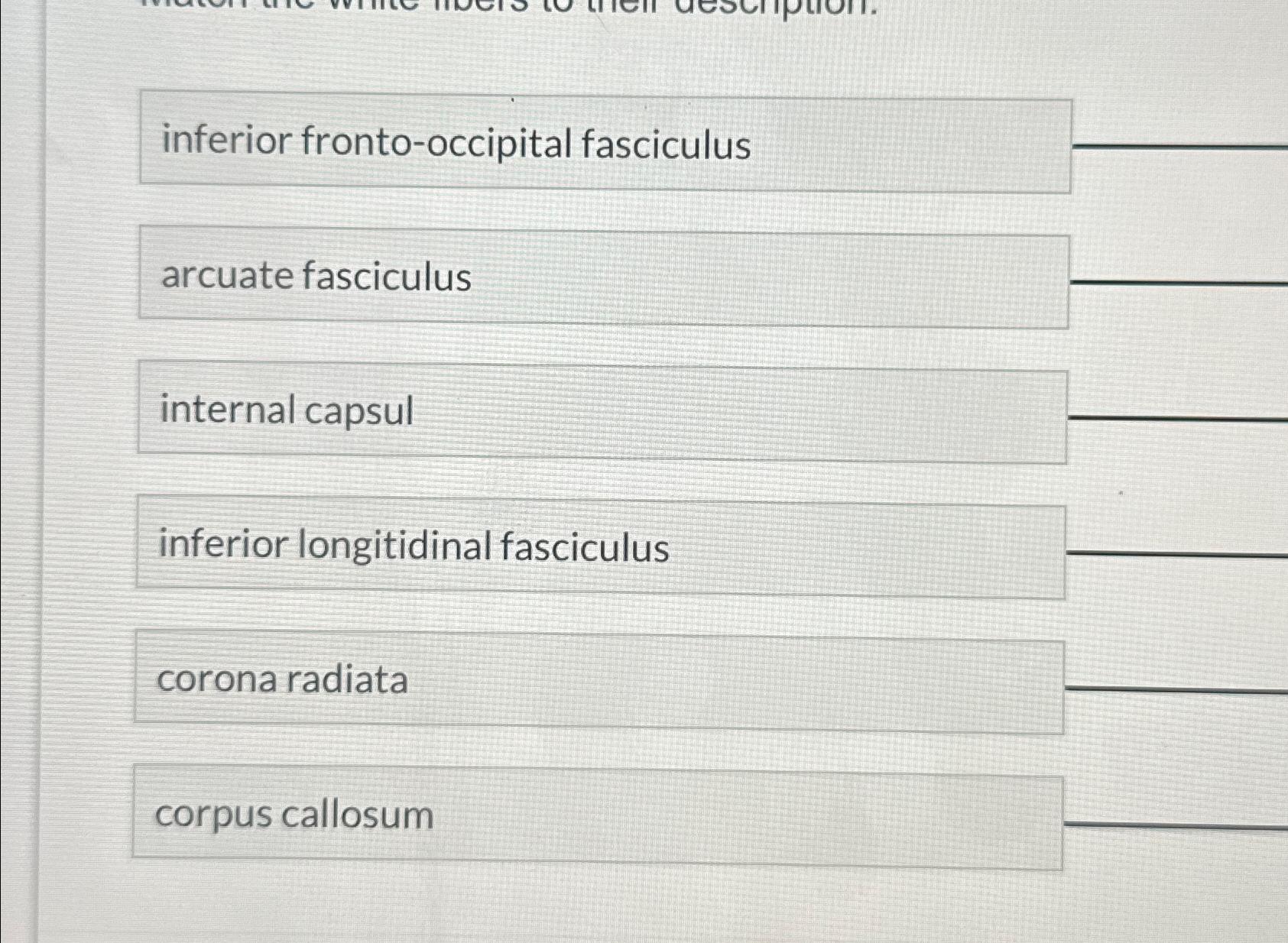 Solved inferior fronto-occipital fasciculusarcuate | Chegg.com