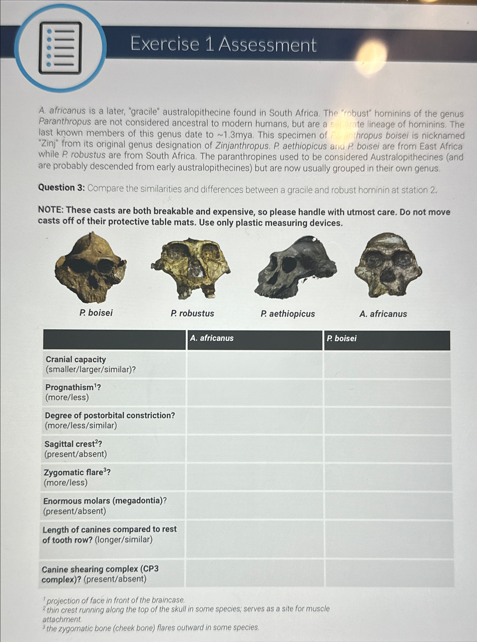 Exercise 1 ﻿AssessmentA. ﻿africanus is a later, | Chegg.com