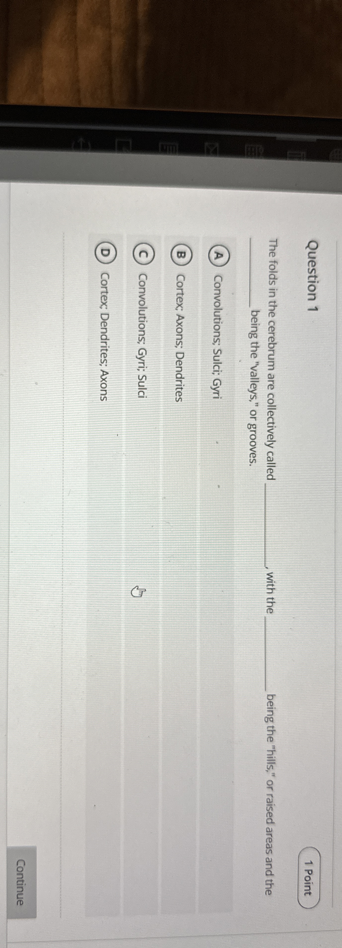Solved Question 11 ﻿PointThe folds in the cerebrum are | Chegg.com
