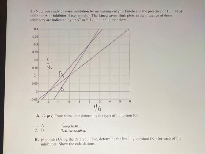 Solved 4. (Now you study enzyme inhibition by measuring | Chegg.com