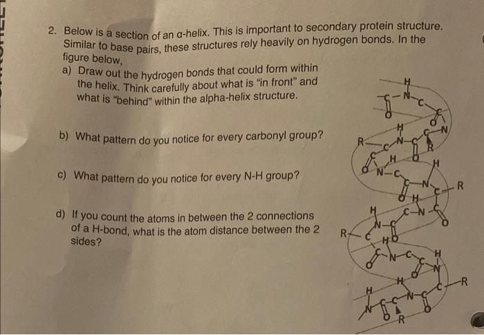 Solved 2. Below is a section of an a-helix. This is | Chegg.com