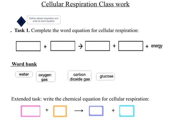 Solved Cellular Respiration Class work . Task 1. Complete | Chegg.com