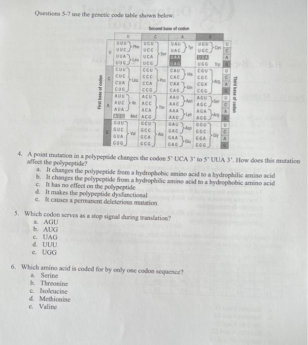 Solved 1. What is the function of DNA helicase in DNA | Chegg.com