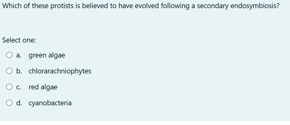 Solved Which of these protists is believed to have evolved | Chegg.com