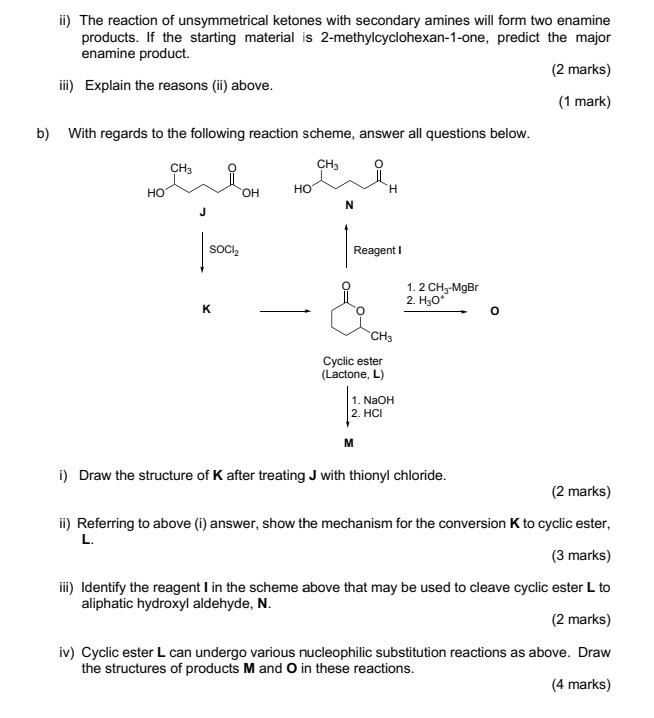 Solved a) The reaction between cyclohexanone and pyrrolidine | Chegg.com