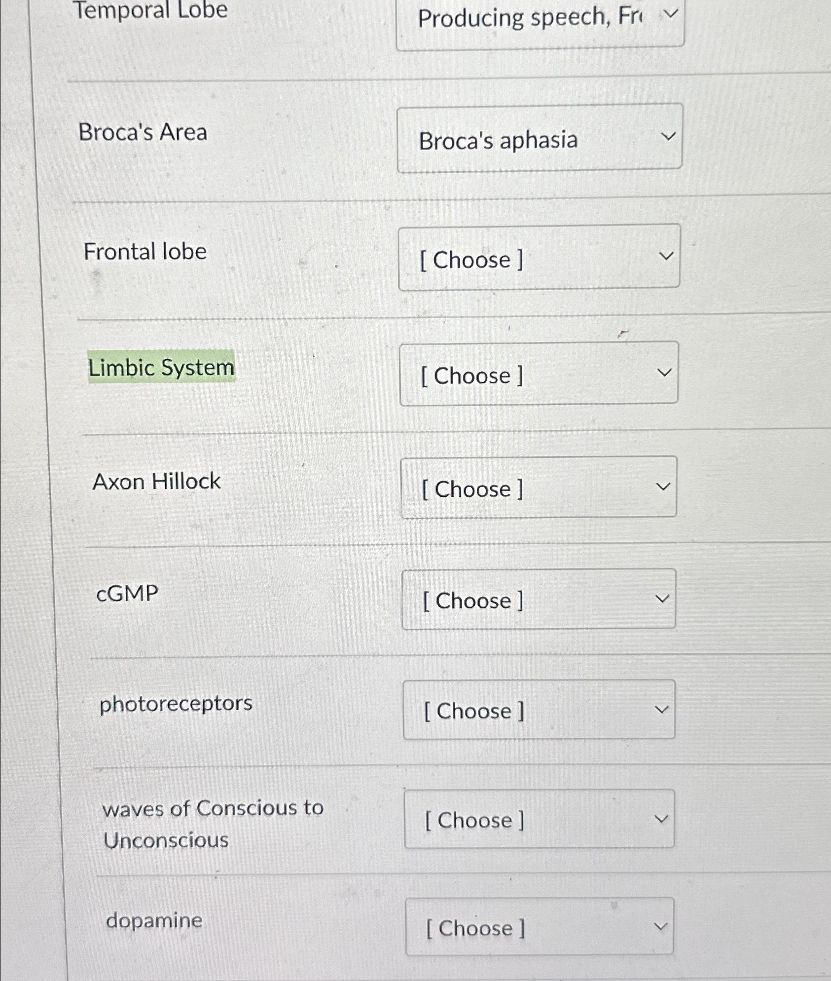 Solved Temporal LobeBroca's AreaFrontal lobeLimbic | Chegg.com