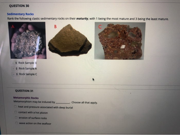 Solved QUESTION 30 Sedimentary Rocks Rank the following | Chegg.com Solved QUESTION 30 Sedimentary Rocks Rank the following | Chegg.com
