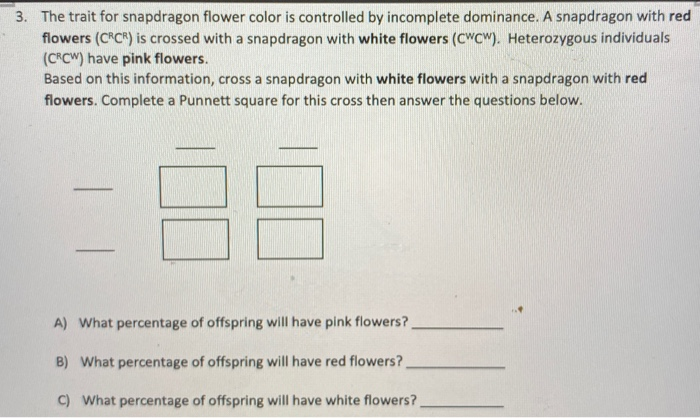 Solved 3. The trait for snapdragon flower color is | Chegg.com