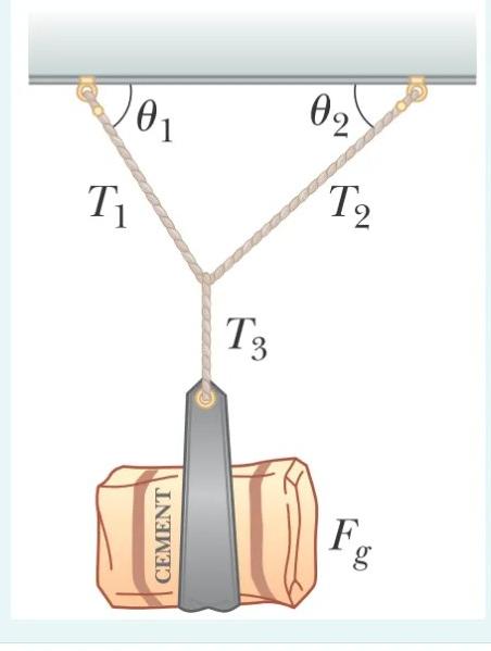 Solved A bag of weight Fg=295( N) hangs in equilibrium from | Chegg.com