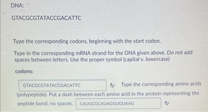 Solved Type the corresponding codons, beginning with the | Chegg.com