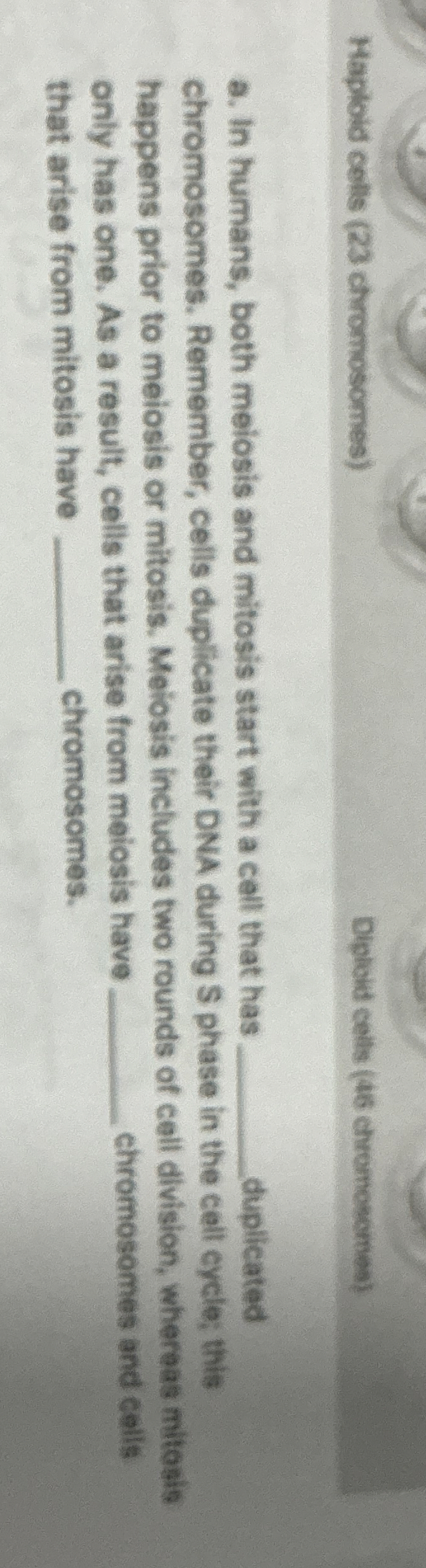 Solved Haploid cells (23 ﻿chromosomes)Dipliold cells (46 | Chegg.com