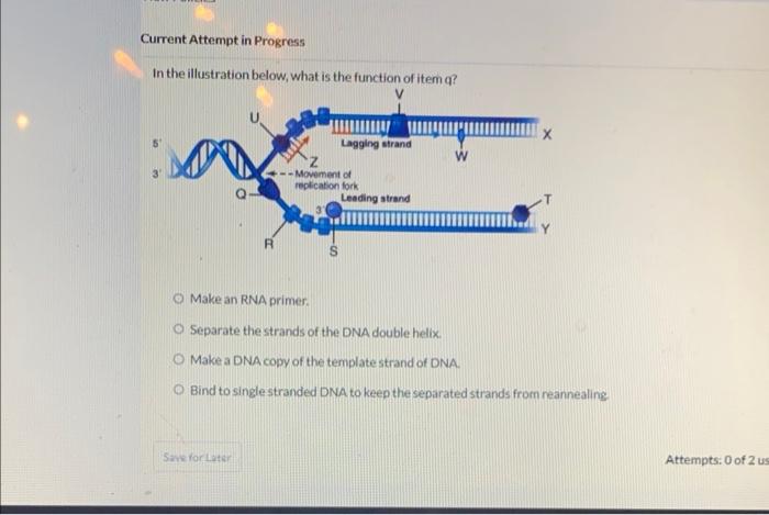 Solved In the illustration below, what is the function of | Chegg.com