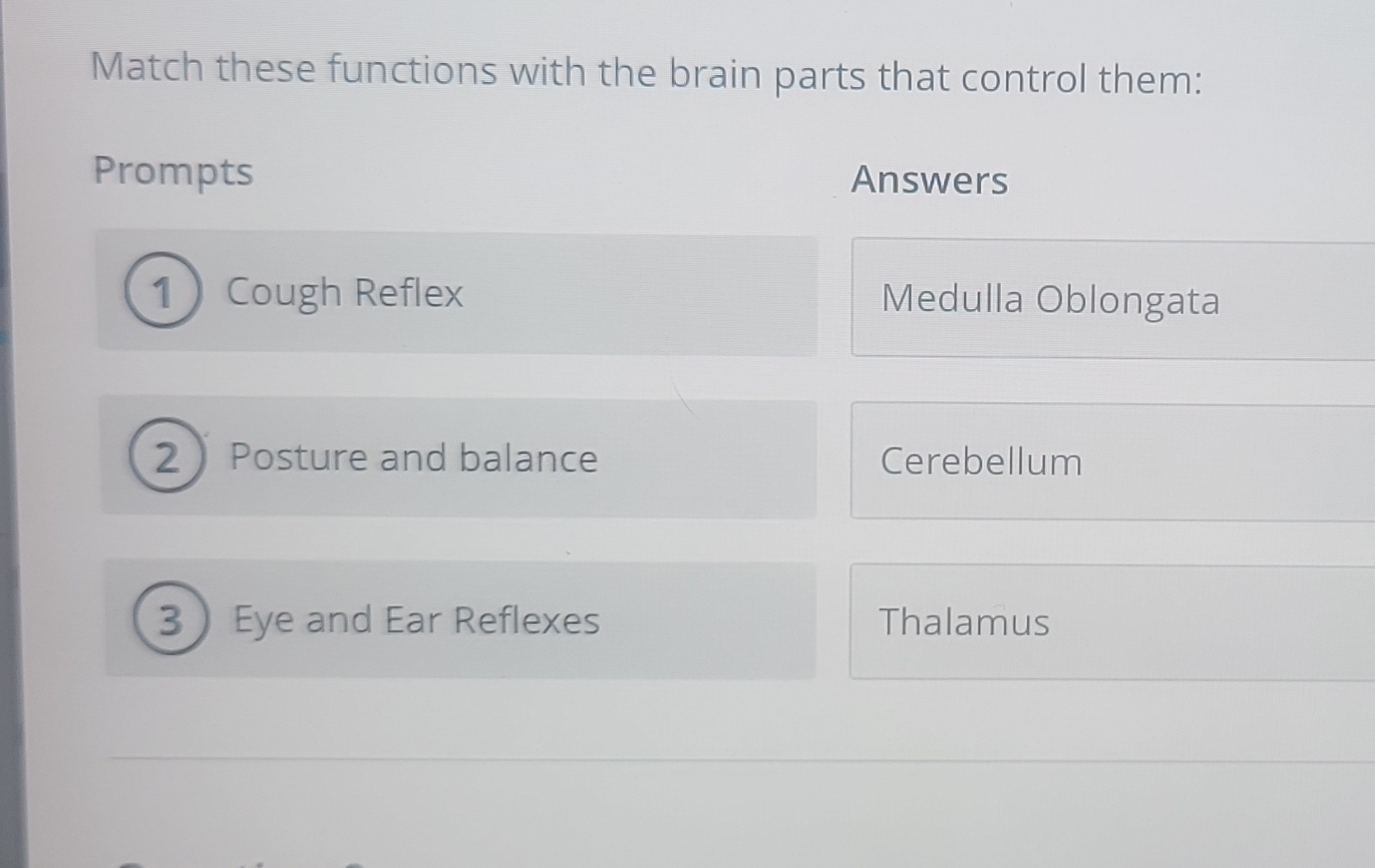 Solved Match these functions with the brain parts that | Chegg.com