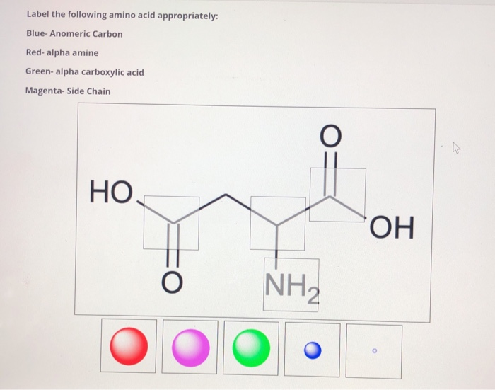 Solved Label the following amino acid appropriately: Blue- | Chegg.com