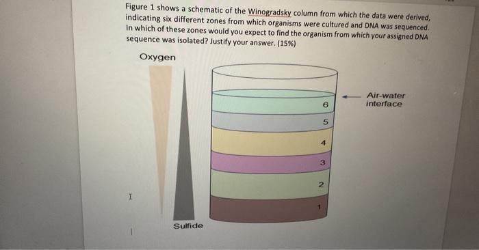 Solved Figure 1 shows a schematic of the Winogradsky column | Chegg.com