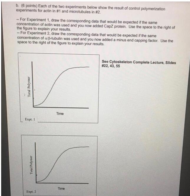 Solved b. ( 6 points) Each of the two experiments below show | Chegg.com
