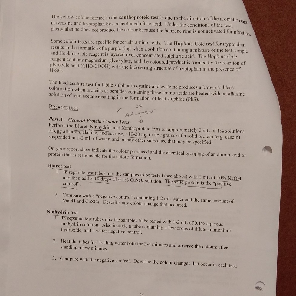 The yellow colour formed in the xanthoproteic test is | Chegg.com