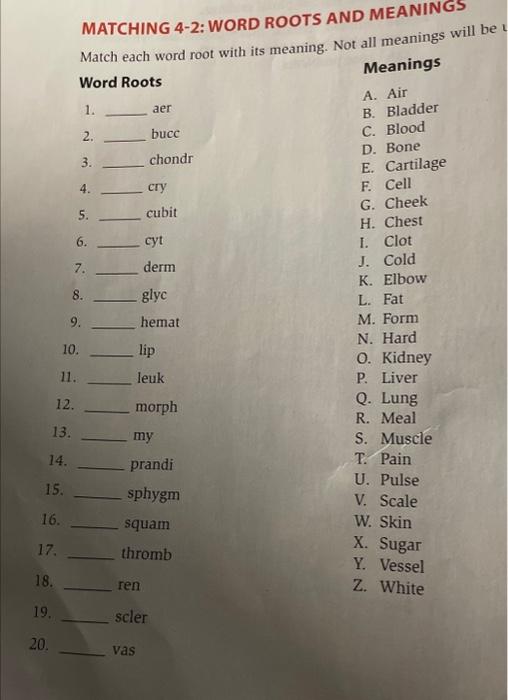 Solved MATCHING 4-2: WORD ROOTS AND MEANINGS Match each word | Chegg.com