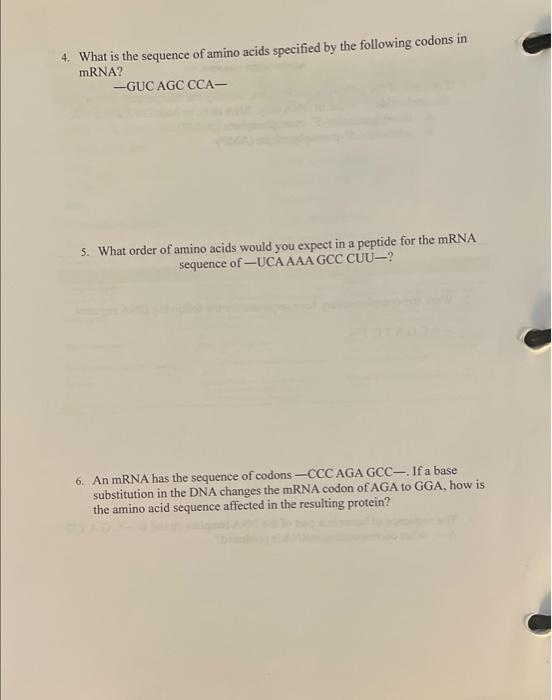Solved 1. For each of the following nucleotides, identify | Chegg.com