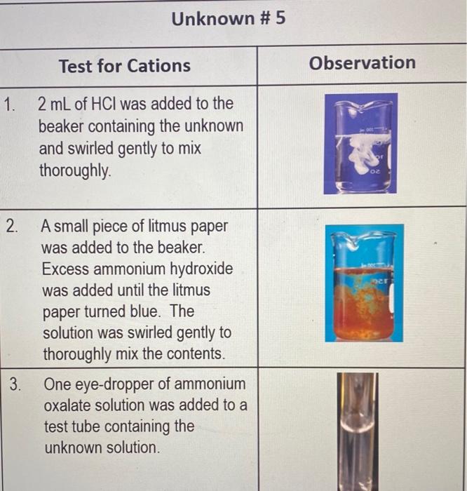 Solved Unknown # 5 Test for Cations Observation 1. 2 mL of | Chegg.com