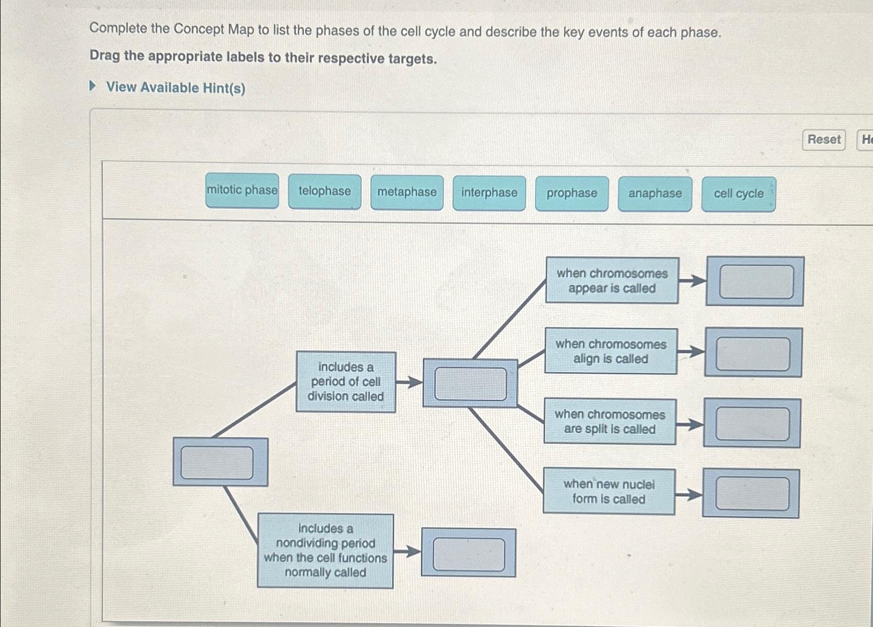 Solved Complete the Concept Map to list the phases of the | Chegg.com