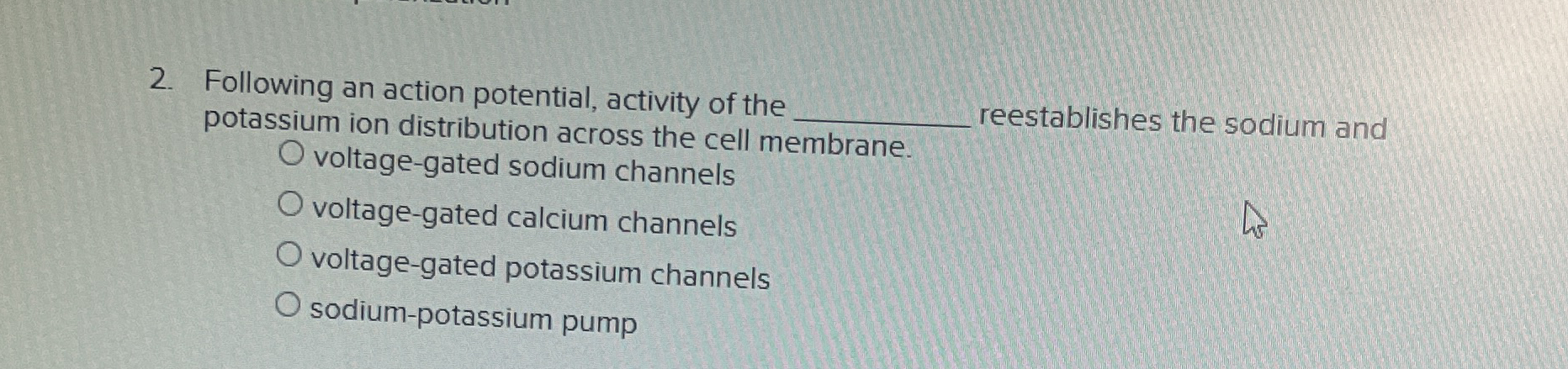 Solved Following an action potential, activity of | Chegg.com