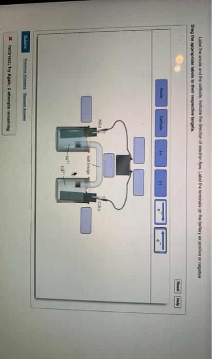 Solved Label the anode and the cathode indicate the | Chegg.com