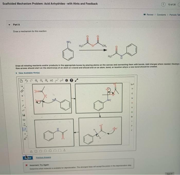 Solved Scaffolded Mechanism Problem: Acid Anhydrides - with | Chegg.com