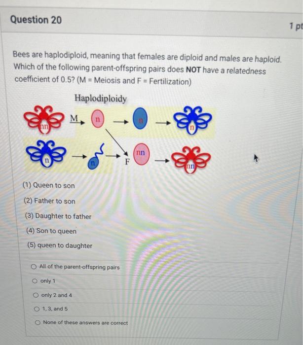 Solved Bees are haplodiploid, meaning that females are | Chegg.com