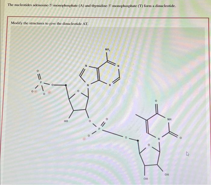 Solved The nucleotides adenosine-S-monophosphate (A) and | Chegg.com