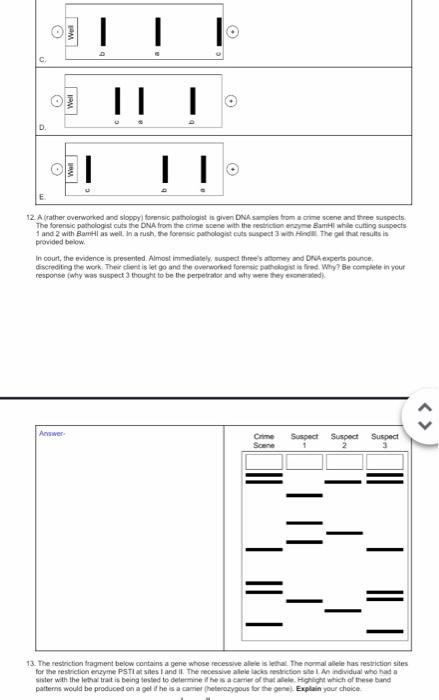 Solved AP Biology Gene Regulation and Biotechnology Review | Chegg.com