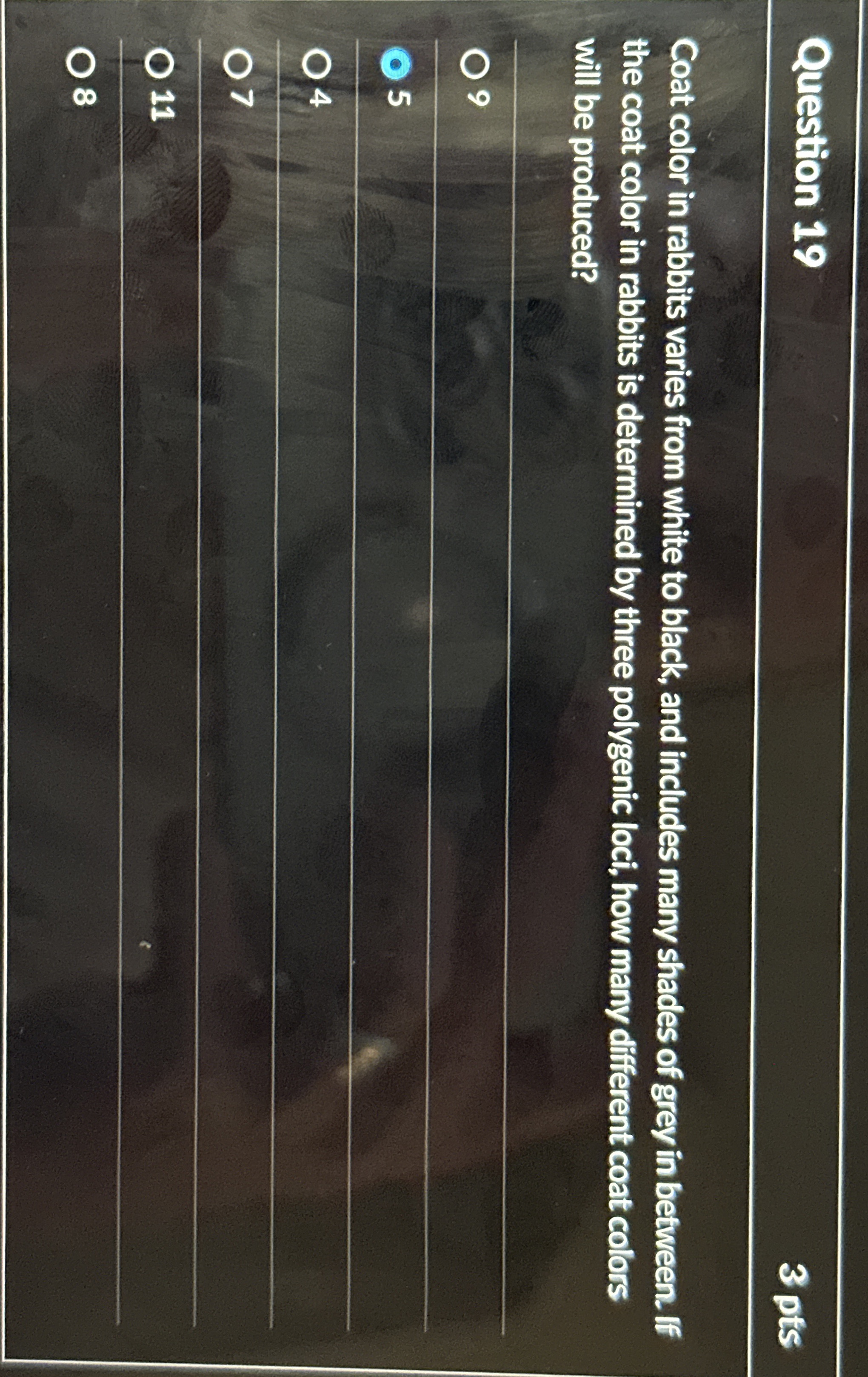 Solved Question 193 ﻿ptsCoat color in rabbits varies from | Chegg.com